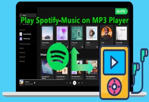 DRmare Spotify Music Converter: Pros & Cons & Alternative