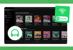 DRmare Spotify Music Converter: Pros & Cons & Alternative